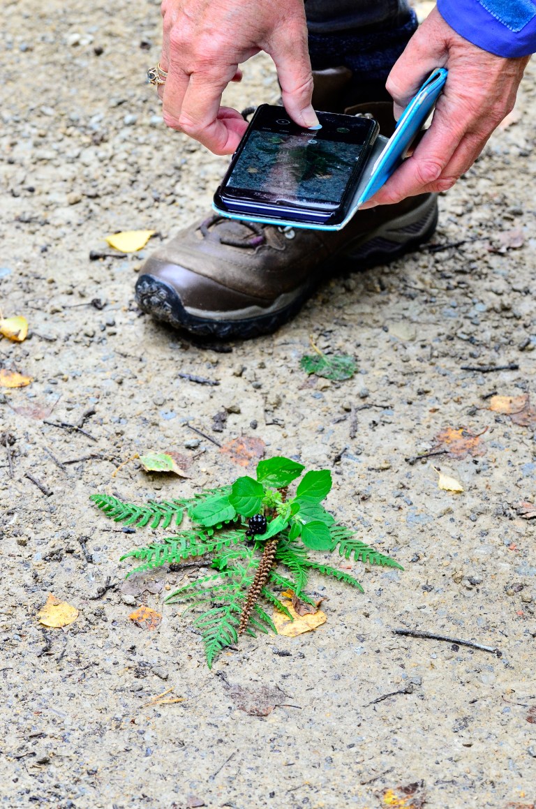 Therapeutic Photography in the UK – Mindful Photography UK